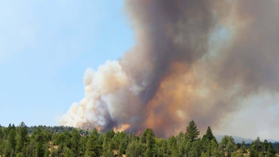 Defensible Space: Protect Your Home from Wildfires